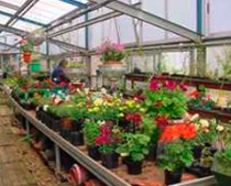 Grupo Zuliano, C.A. | Polinter