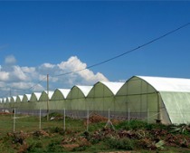 Grupo Zuliano, C.A. | Polinter